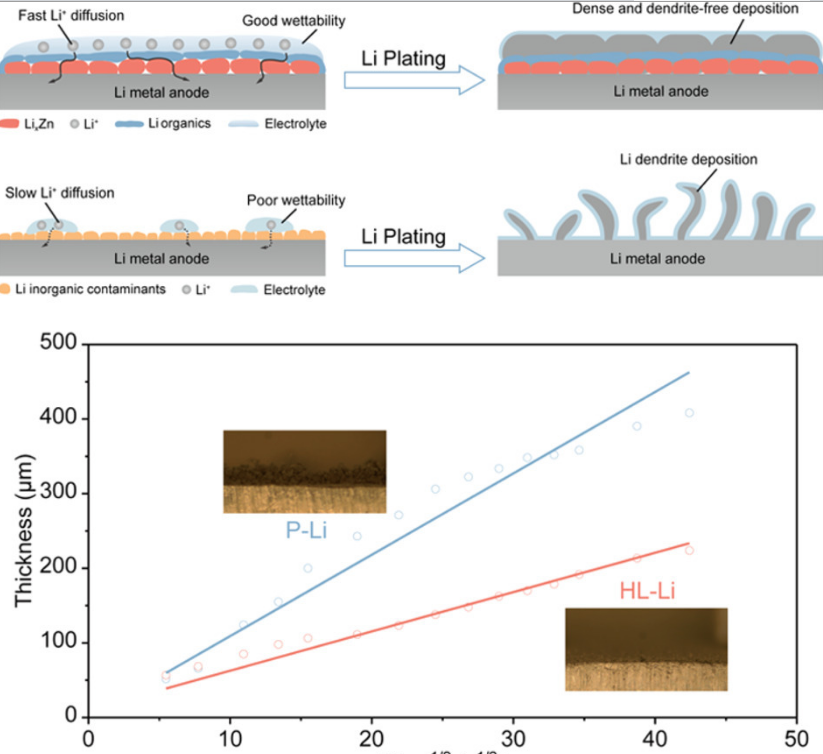 Facile design of alloy-based hybrid layer to stabilize lithium metal ...